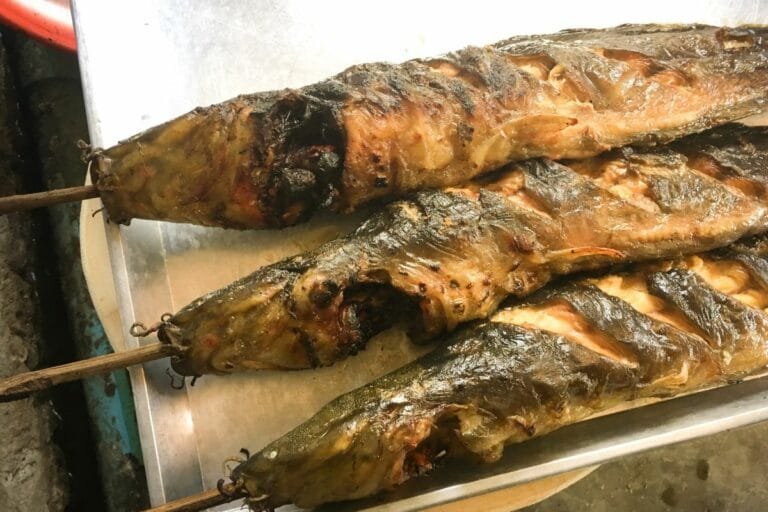 15 Best Grilled Catfish Recipes to Spice Up Your BBQ