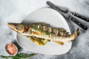 15 Delicious Grilled Walleye Recipes for Home Chefs | BroBBQ